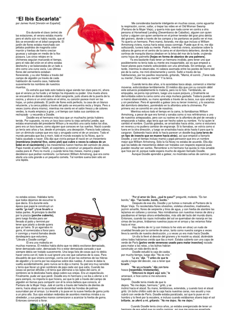 Scarlet Ibis (Spanish) | PDF | Aves | Naturaleza