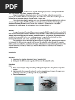 Physics Project On Magnetism | PDF | Magnetism | Ferromagnetism