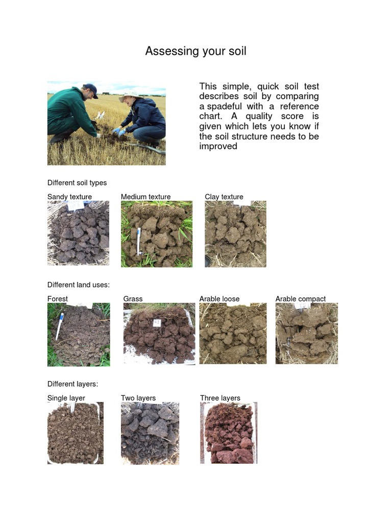 Soil Structure Assessment Guide | PDF