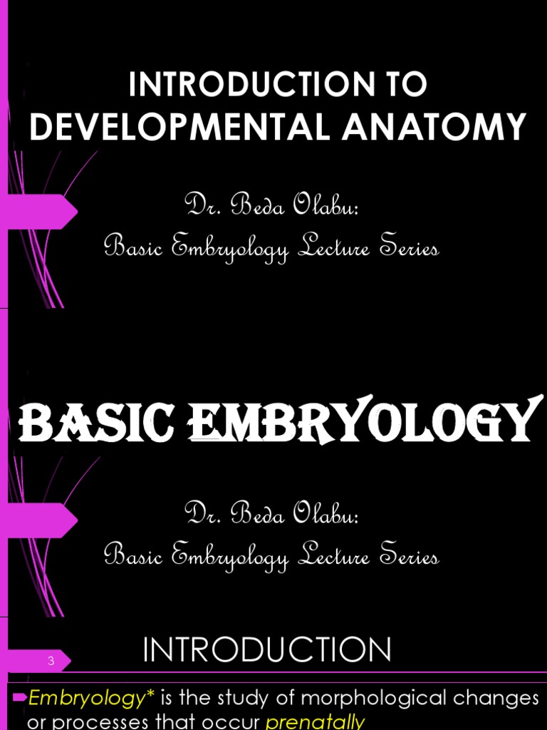 Basic Embryology Series PDF | Download Free PDF | Twin | Menstrual Cycle