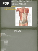 Anatomie de La Paroi Abdominale | PDF | Péritoine | Abdomen
