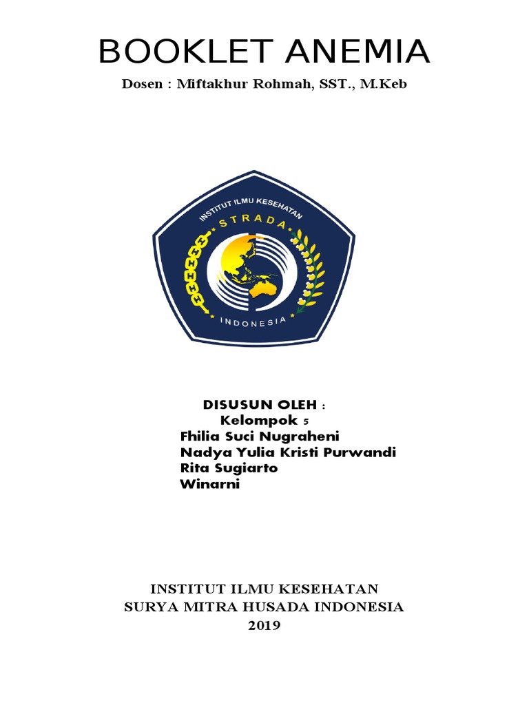 Booklet Anemia | PDF