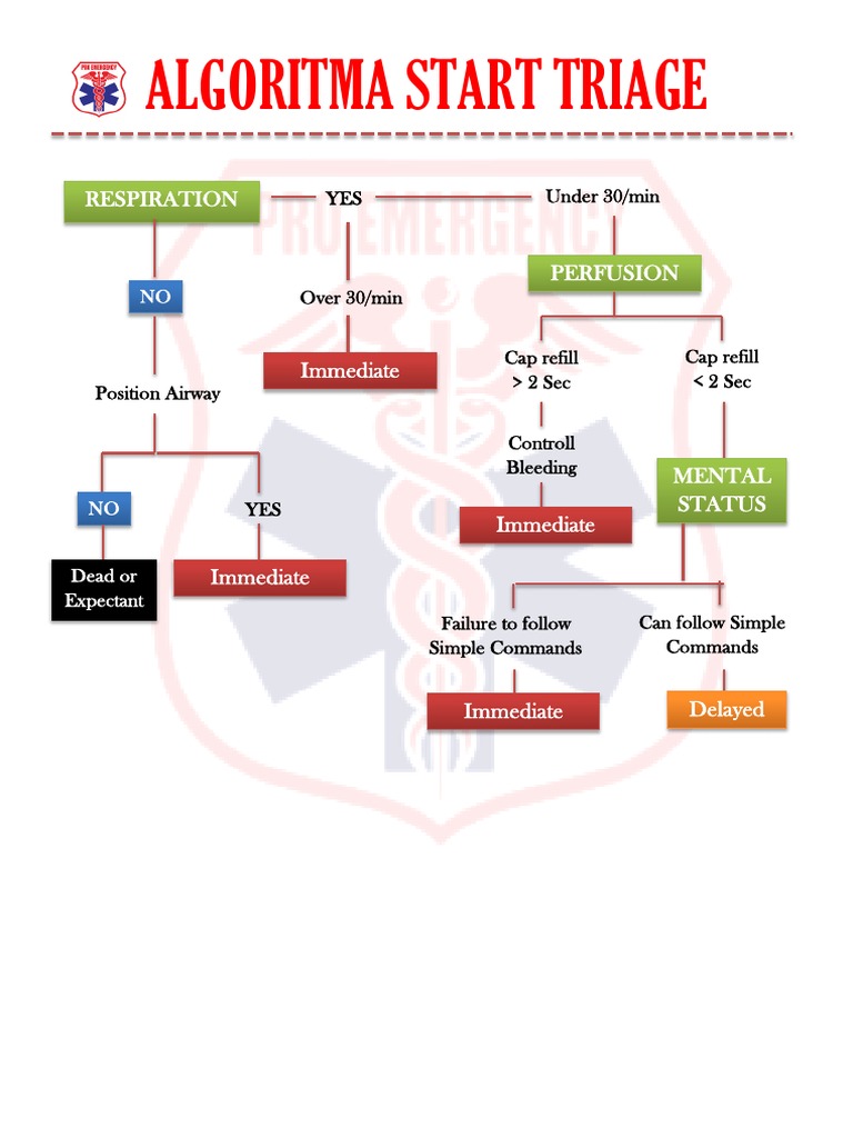 Algoritma Start Triage PDF | PDF