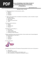 Year 8 Breathing and Respiration Guide | PDF | Respiratory System ...