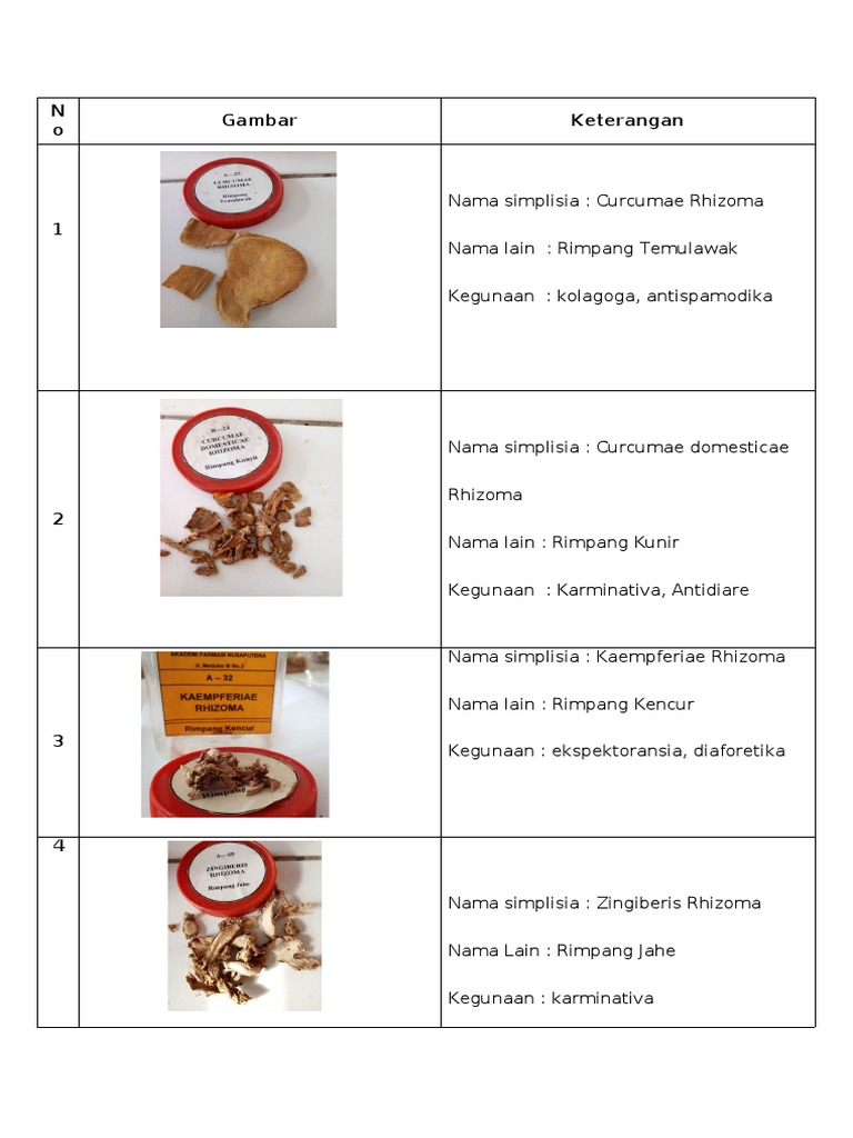 Haksel Farmakognosi | PDF