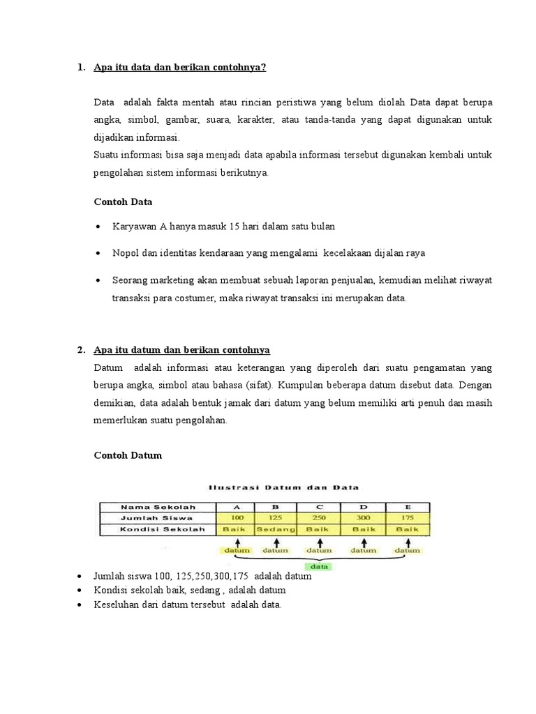 Apa Itu Data Dan Berikan Contohnya | PDF