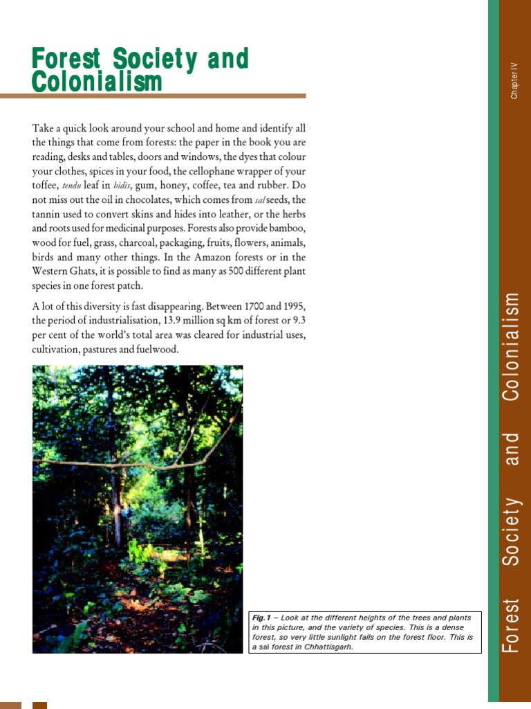 Colonial Impact on Forests in India | PDF | Hunting | Tiger