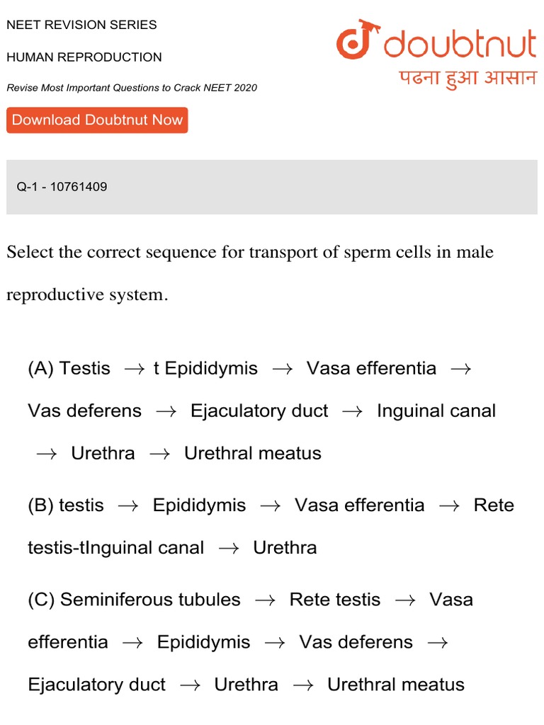 Bio Neet Revision Series Human Reproduction | PDF | Menstrual Cycle ...