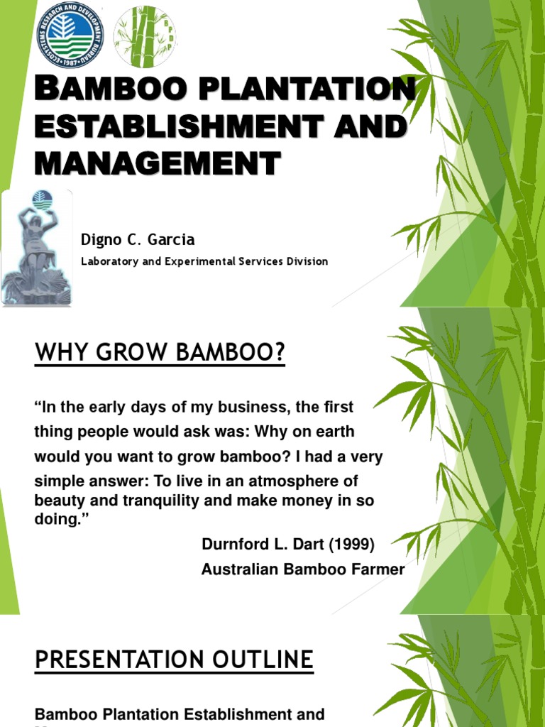 How To Plant Bamboo Saplings. | PDF | Bamboo | Topsoil