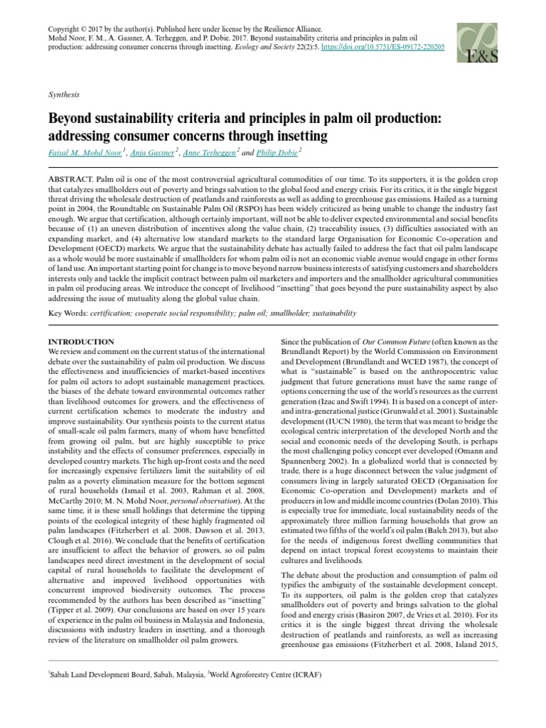 Article - by Faisal Noor | PDF | Palm Oil | Sustainability