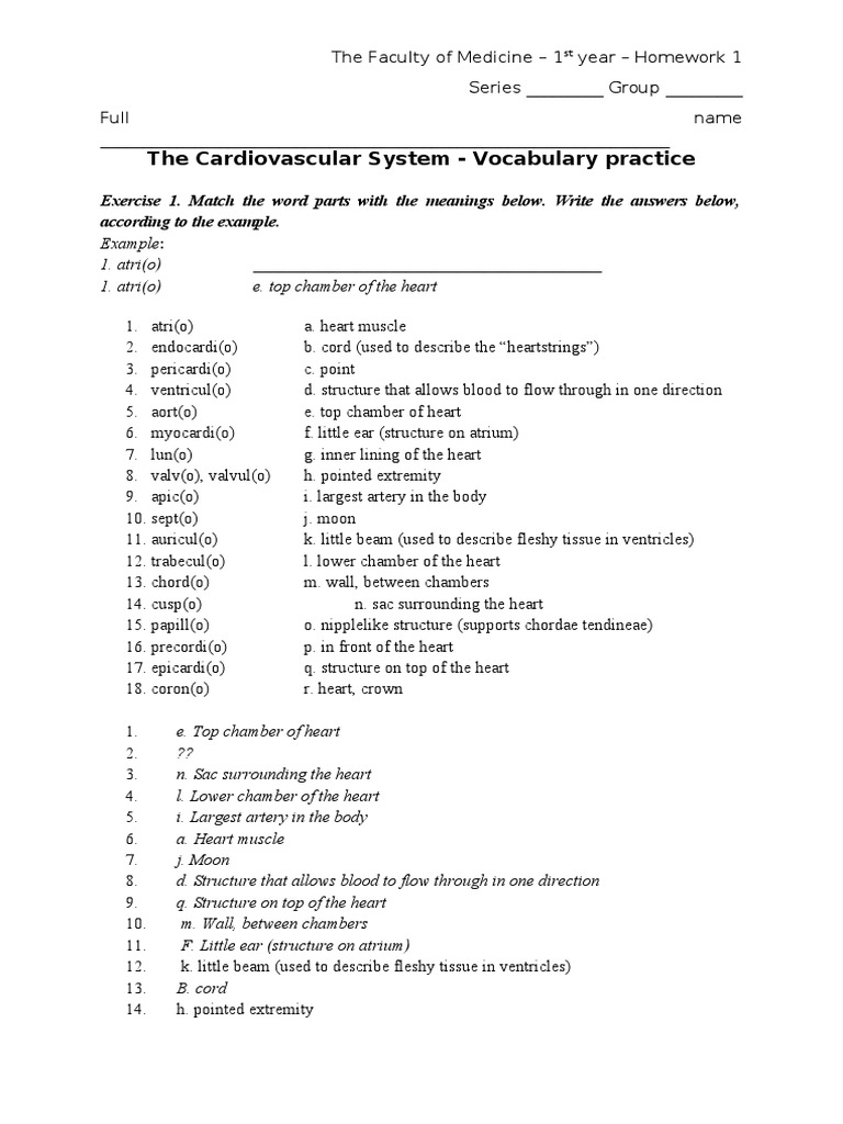 Cardiovascular System Vocabulary Homework | PDF | Heart Valve | Heart