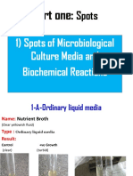 Api - 20 Ne - Microbial - Id-Sop | PDF | Nitrate