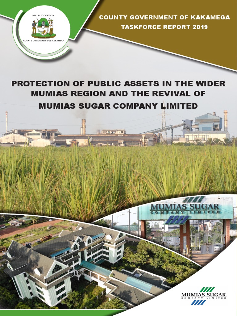 MSC Taskforce Report Final PDF | PDF | Sugarcane | Governance