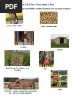 Pony Club C Test Guidelines | PDF | Horse Gait | Horses