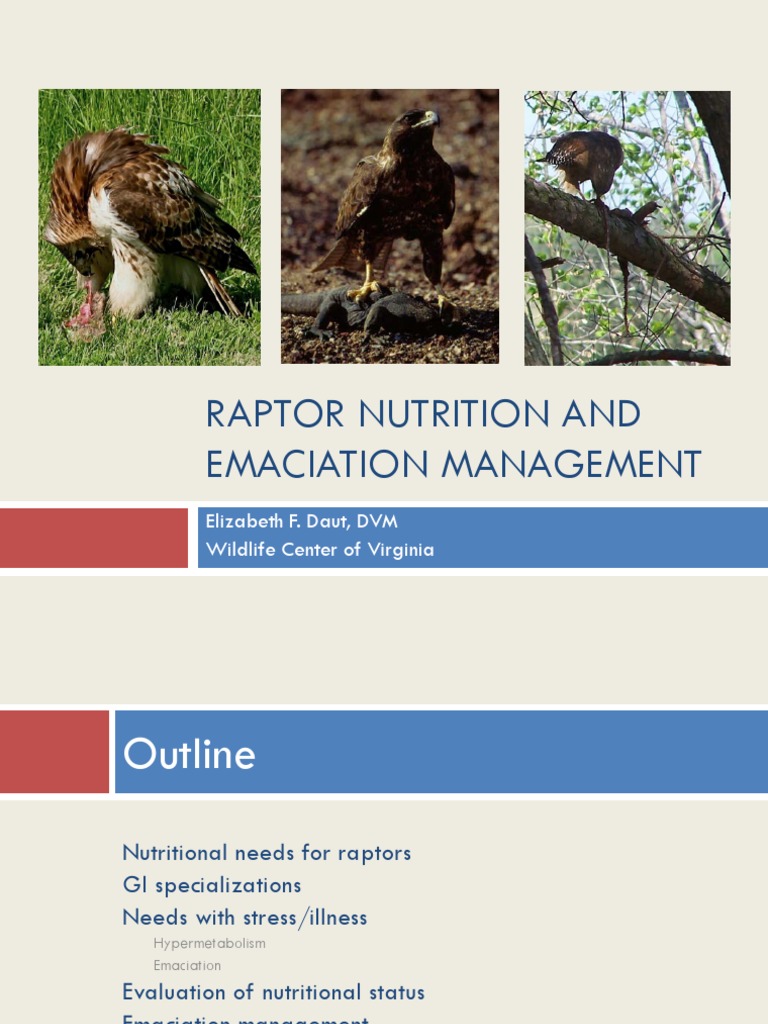 Raptor Nutrition & Emaciation Care | PDF | Starvation | Glycogen