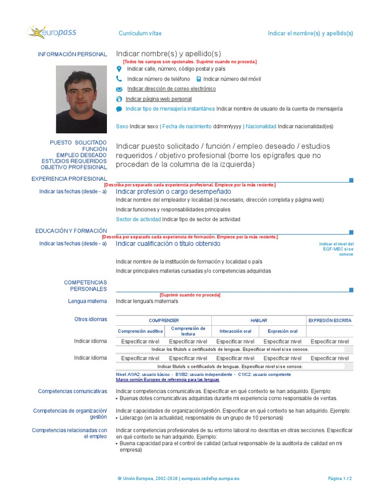 Ecv Template Es | PDF | Comunicación | Informática