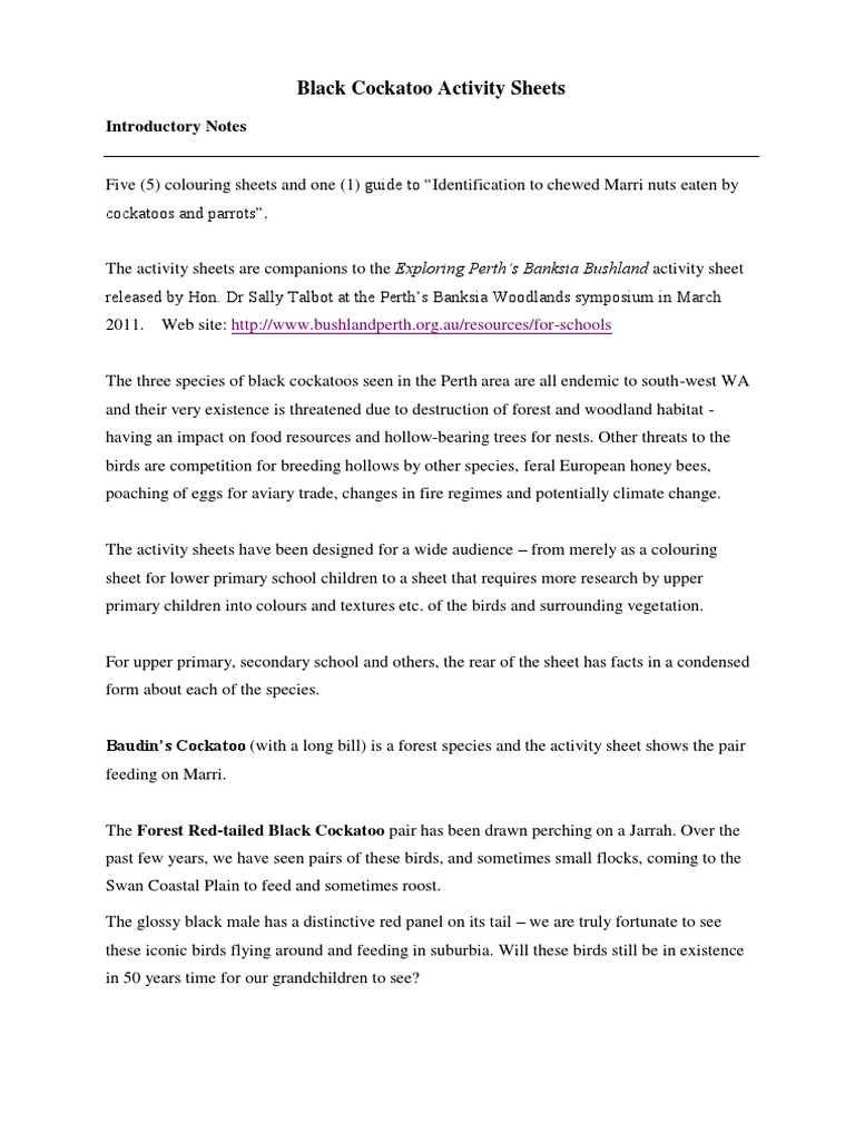 Black Cockatoo Activity Sheets: Introductory Notes | PDF | Birds ...