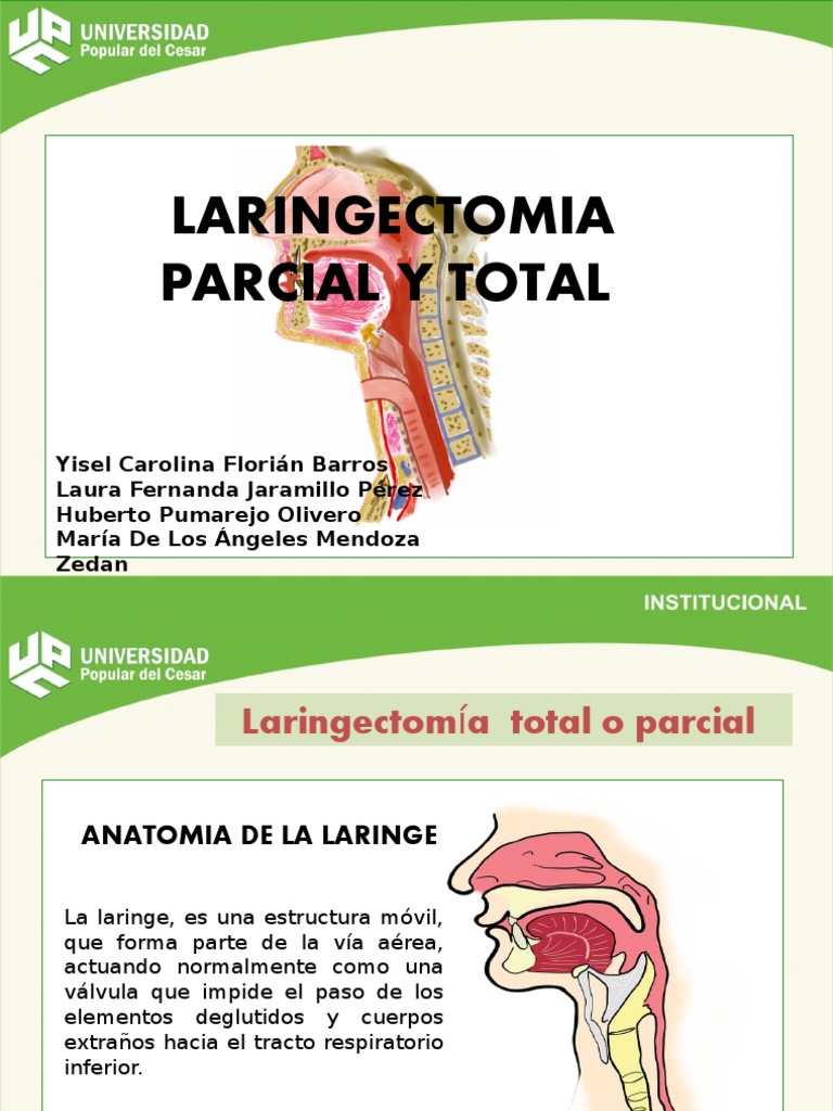 Laringectomía: Total y Parcial | PDF | Laringe | Cáncer