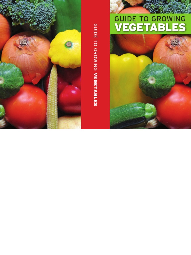 Guide To Growing Vegetables PDF | PDF | Tomato | Agriculture