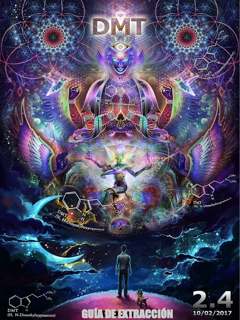 Guia de Extracción DMT | PDF