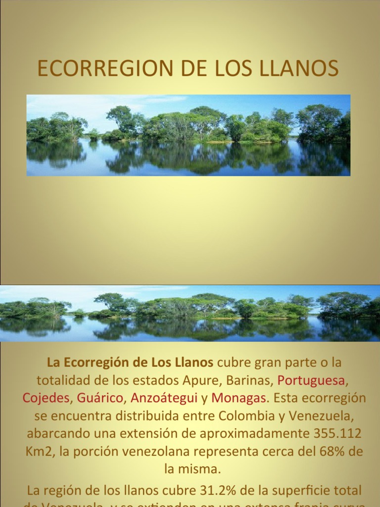 Presentación Ecorregion de Los Llanos | PDF | Venezuela | Agricultura