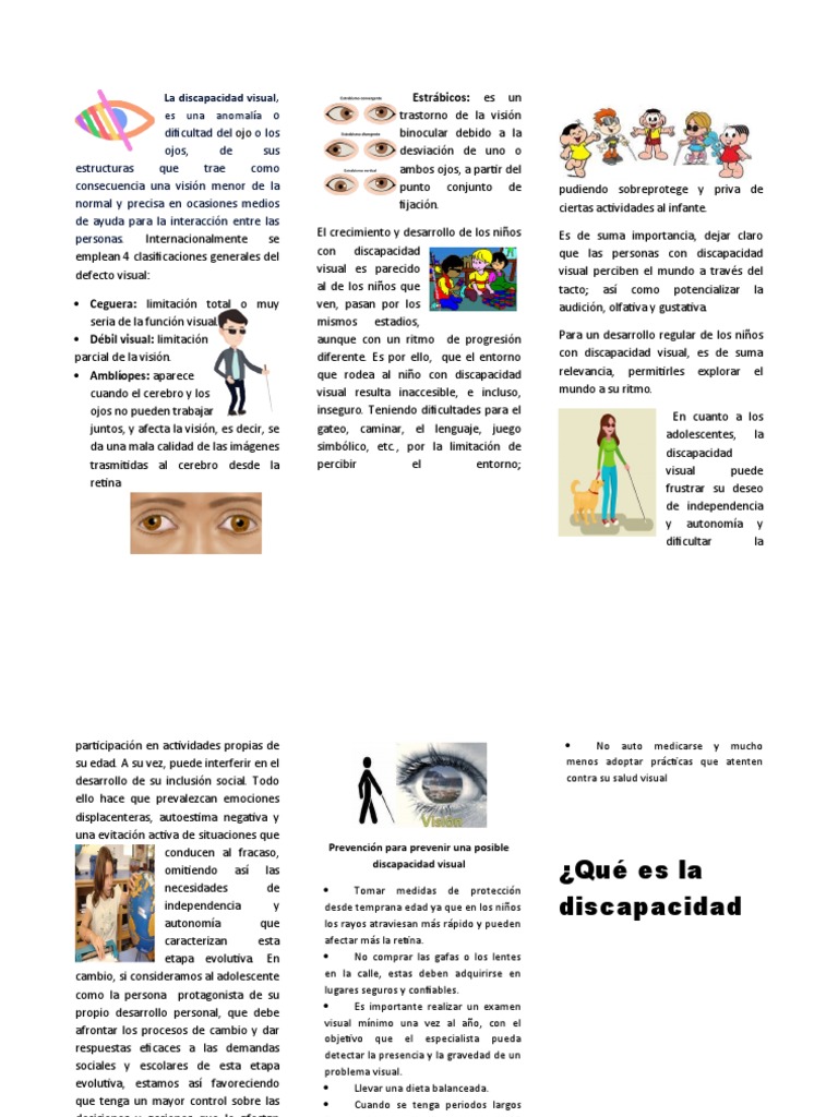 Guía sobre Discapacidad Visual Infantil | PDF | Percepción visual ...