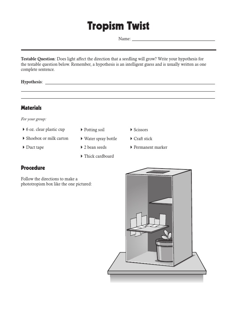 Tropism Twist Worksheet | PDF | Seedling | Seed