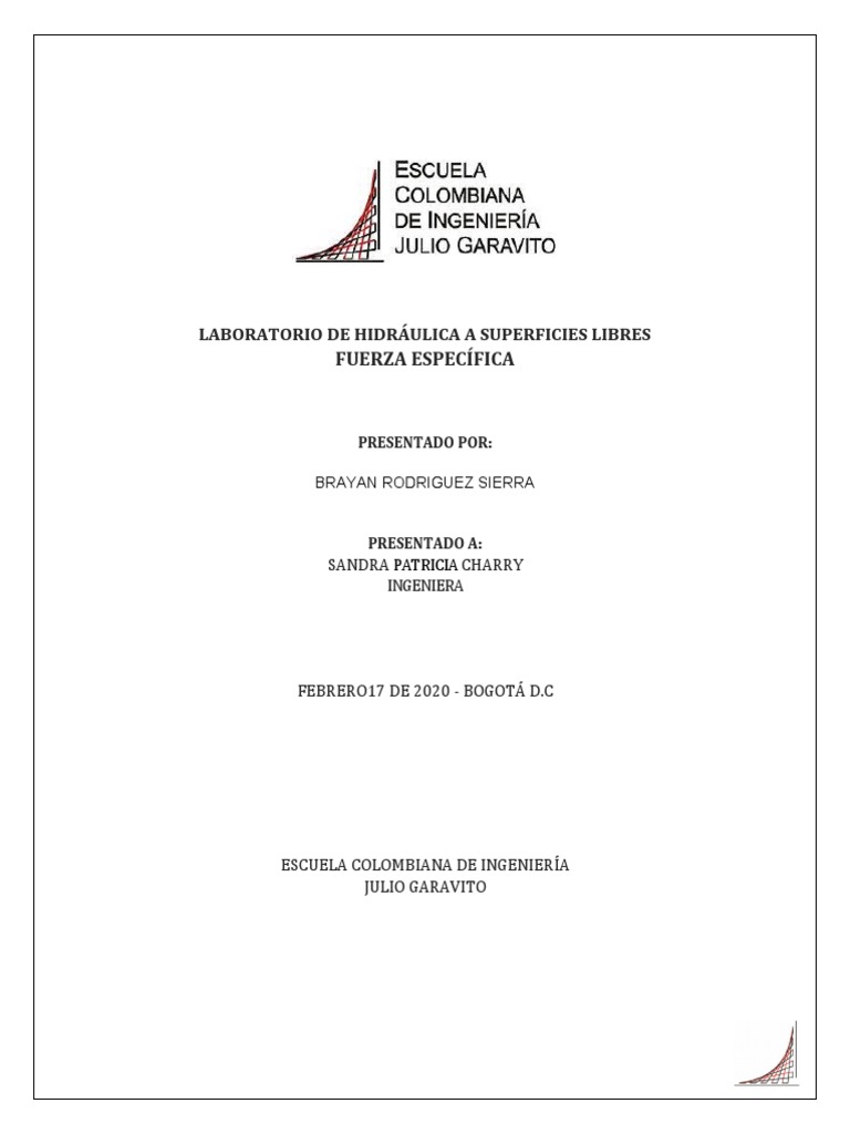 Fuerza Especifica | PDF | Fuerza | Descarga (hidrología)