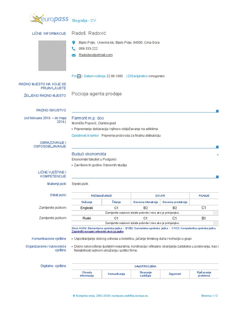 CV Europass | PDF