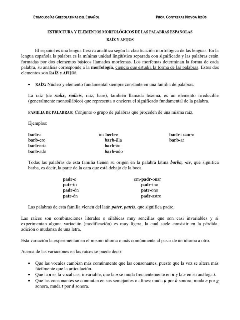 4-Estructura y Elementos Morfologicos de | PDF | Morfología ...
