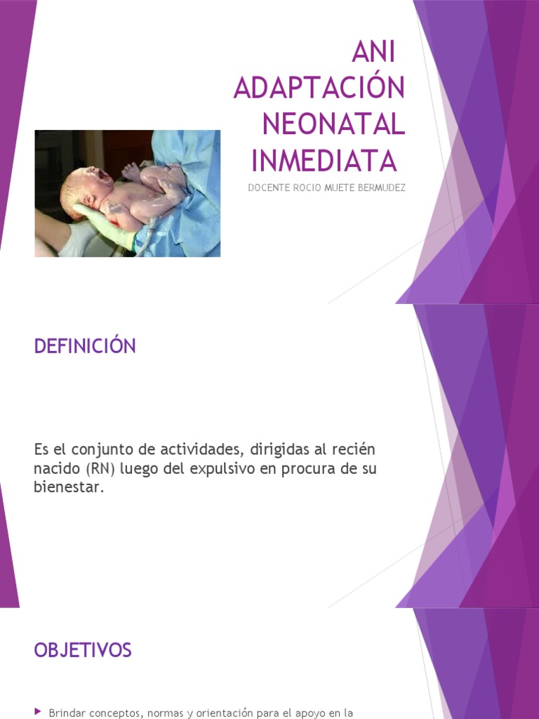 ANI Adaptación Neonatal Inmediata: Docente Rocio Muete Bermudez | PDF ...