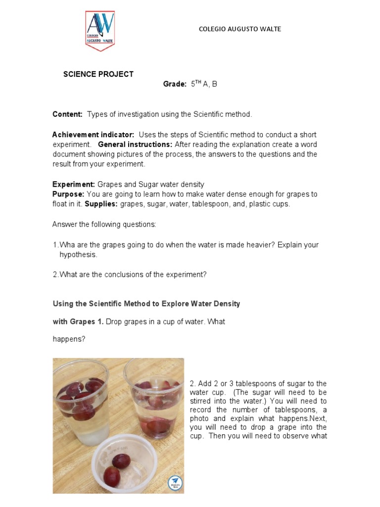 Using The Scientific Method To Explore Water Density With Grapes 1 ...