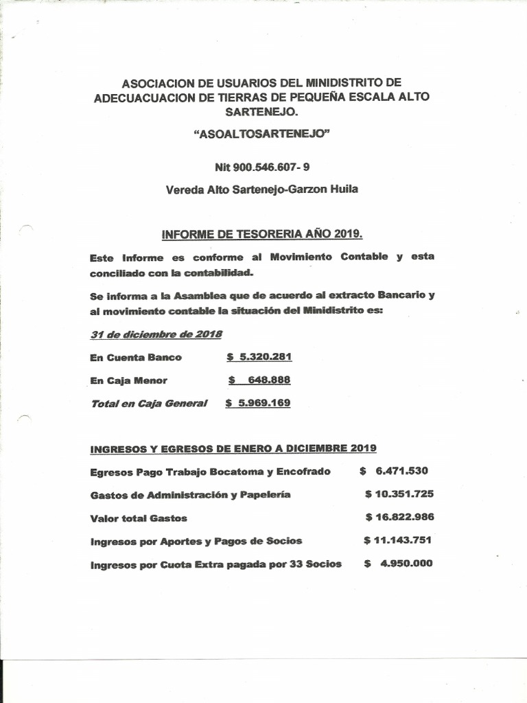 Informe de Tesoreria 2019 | PDF