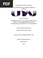 LUPUNA | PDF | Madera | Arboles