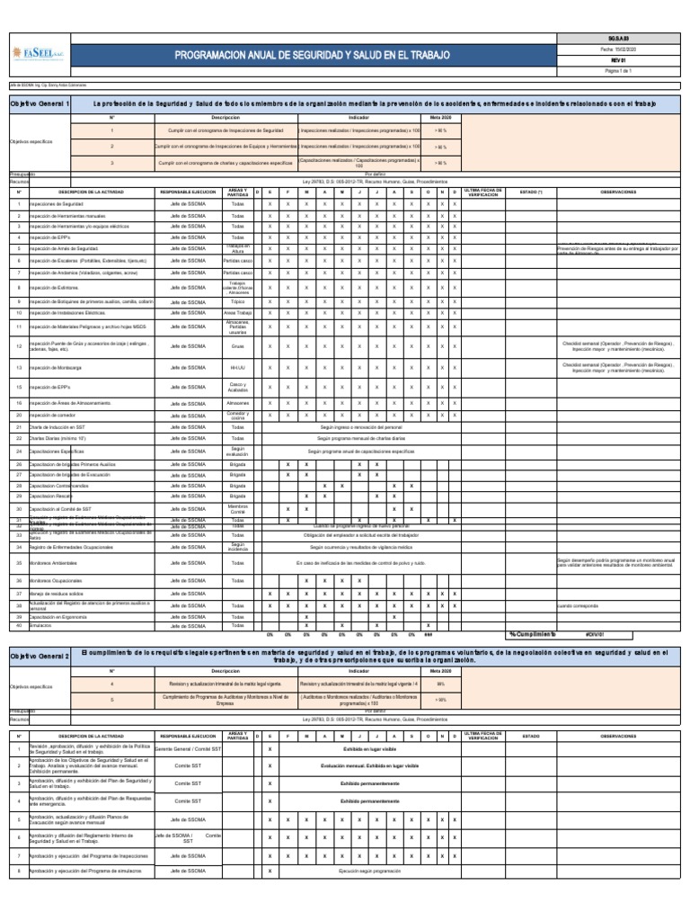 Programa Anual de Seguridad y Salud en El Trabajo | PDF | Business | Labor