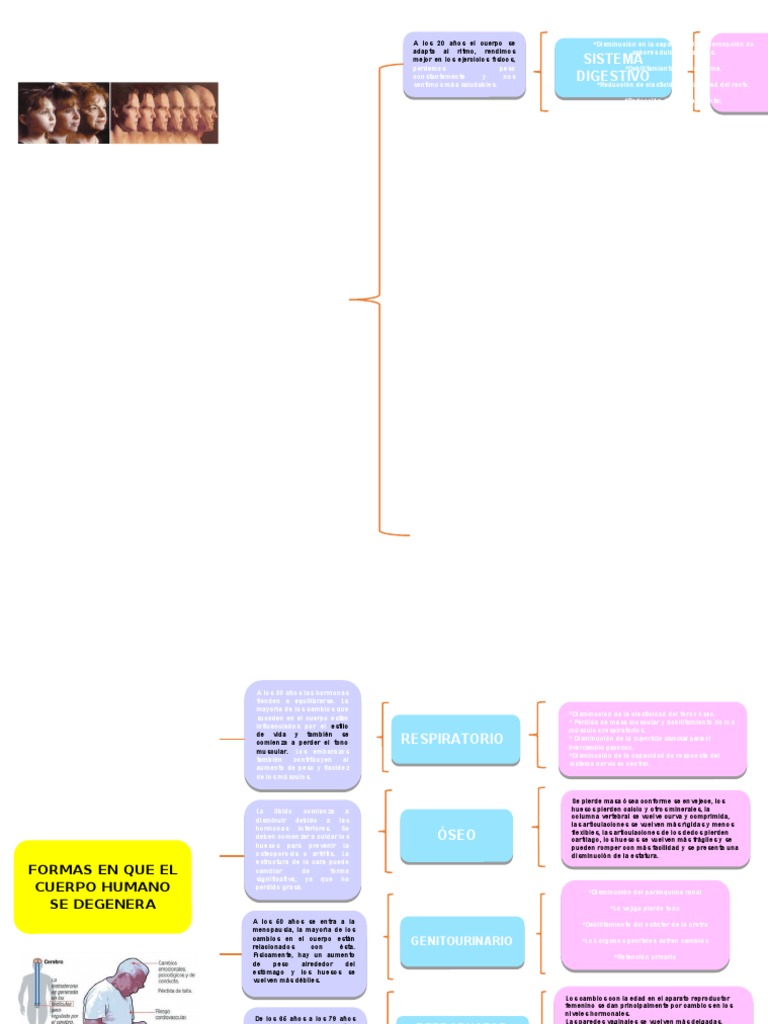 Cuadro Sinoptico | PDF | Hueso | Articulación
