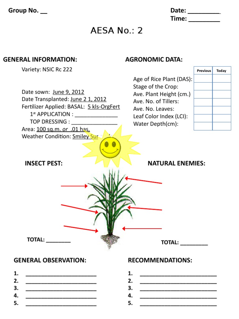 AESA Form No. 2 | PDF