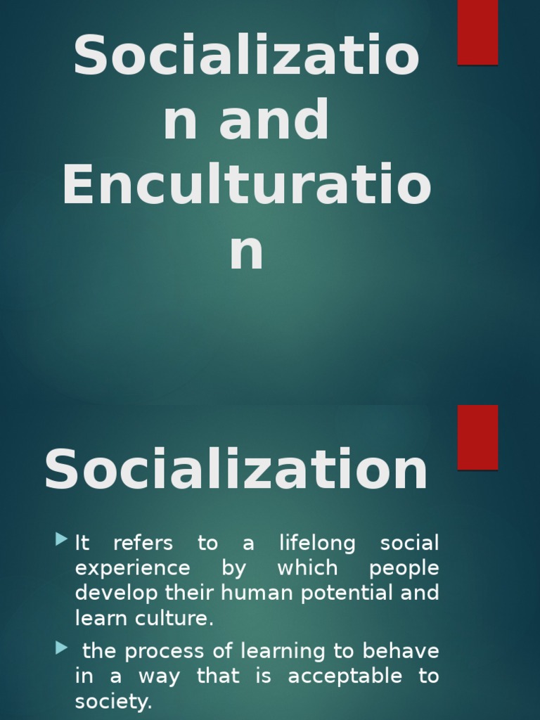 CHAPTER 4 LESSON 1 Socialization and Enculturation | PDF ...
