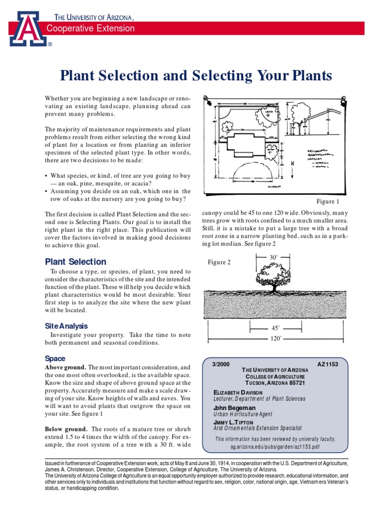Plant Selection PDF | PDF | Trees | Soil