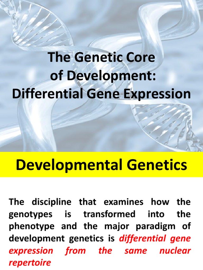 The Genetic Core of Development: Differential Gene Expression | PDF ...