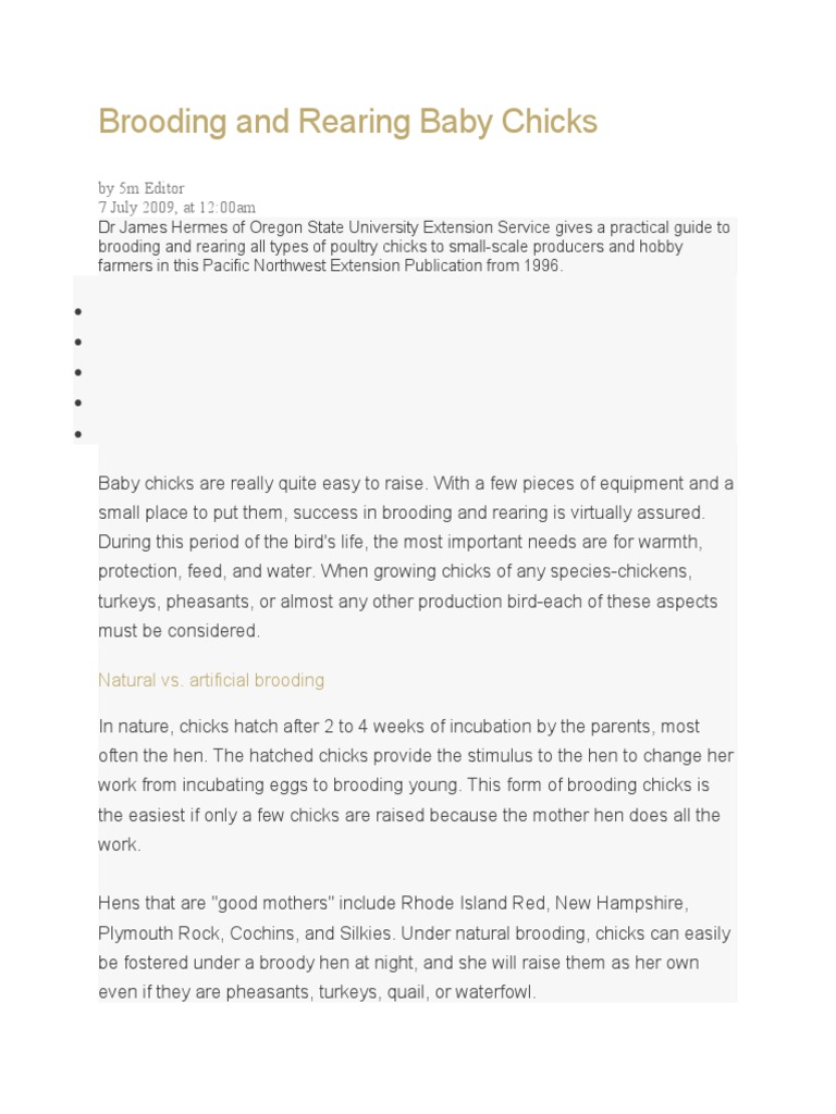 Brooding and Rearing Baby Chicks | PDF | Birds | Chicken