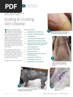 Canine Pruritus Visual Analog Scale | PDF