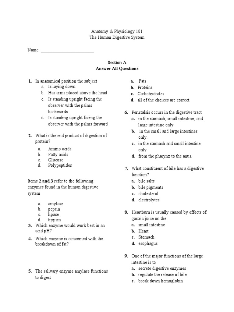 Digestive System Test | PDF | Human Digestive System | Digestion