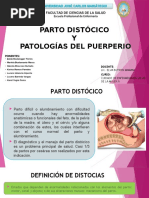 Efecto Poseiro | PDF | Placenta | Feto