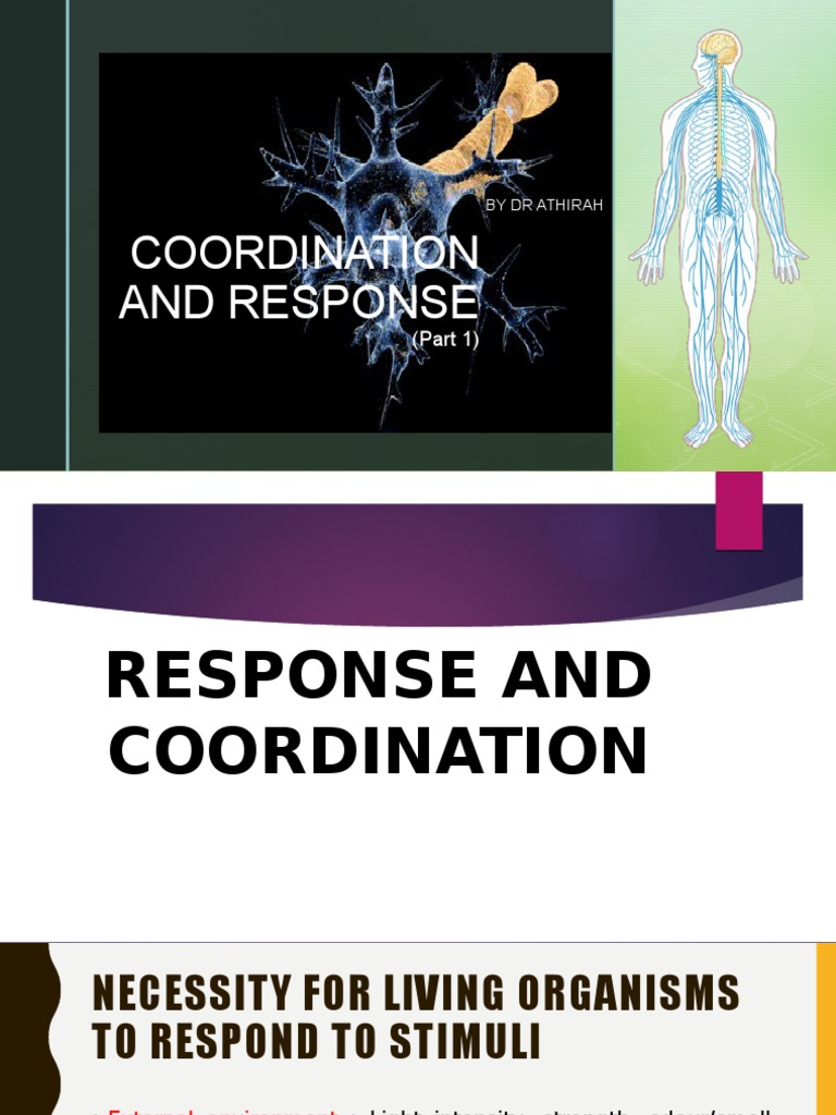 Coordination and Response in Organisms | PDF | Nervous System ...