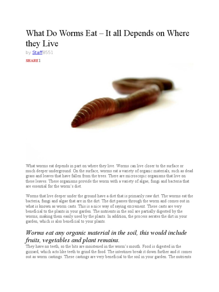 What Do Worms Eat - It All Depends On Where They Live | PDF | Compost ...
