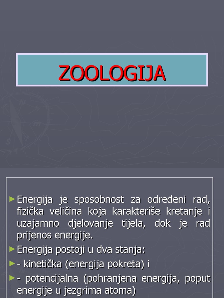 Osnove Fiziologije 55 | PDF