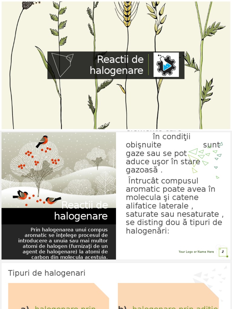 Reactii de Halogenare | PDF