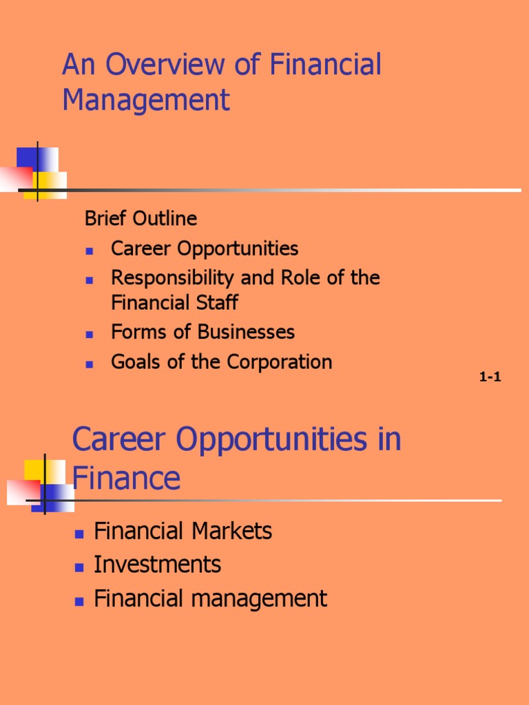 An Overview of Financial Management | PDF | Financial Markets | Partnership