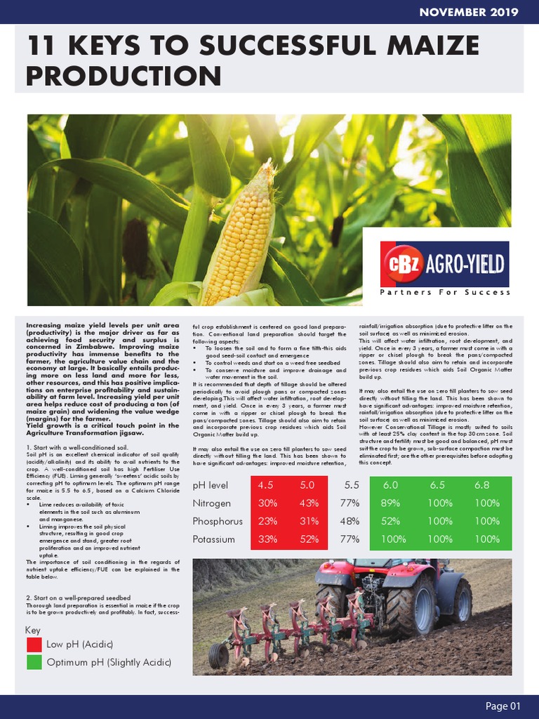 11 Keys To Successful Maize Production | PDF | Tillage | Soil